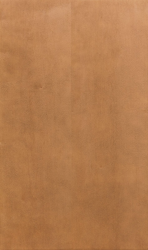 530 Maple Spice - Gold Cabinets & Countertops